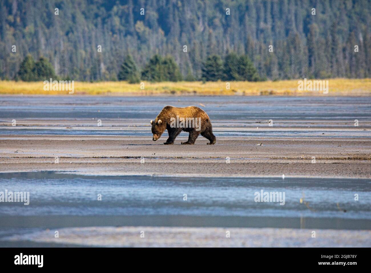Lake Clark National Park and Preserve, Cook Inlet, Kenai Peninsula ...