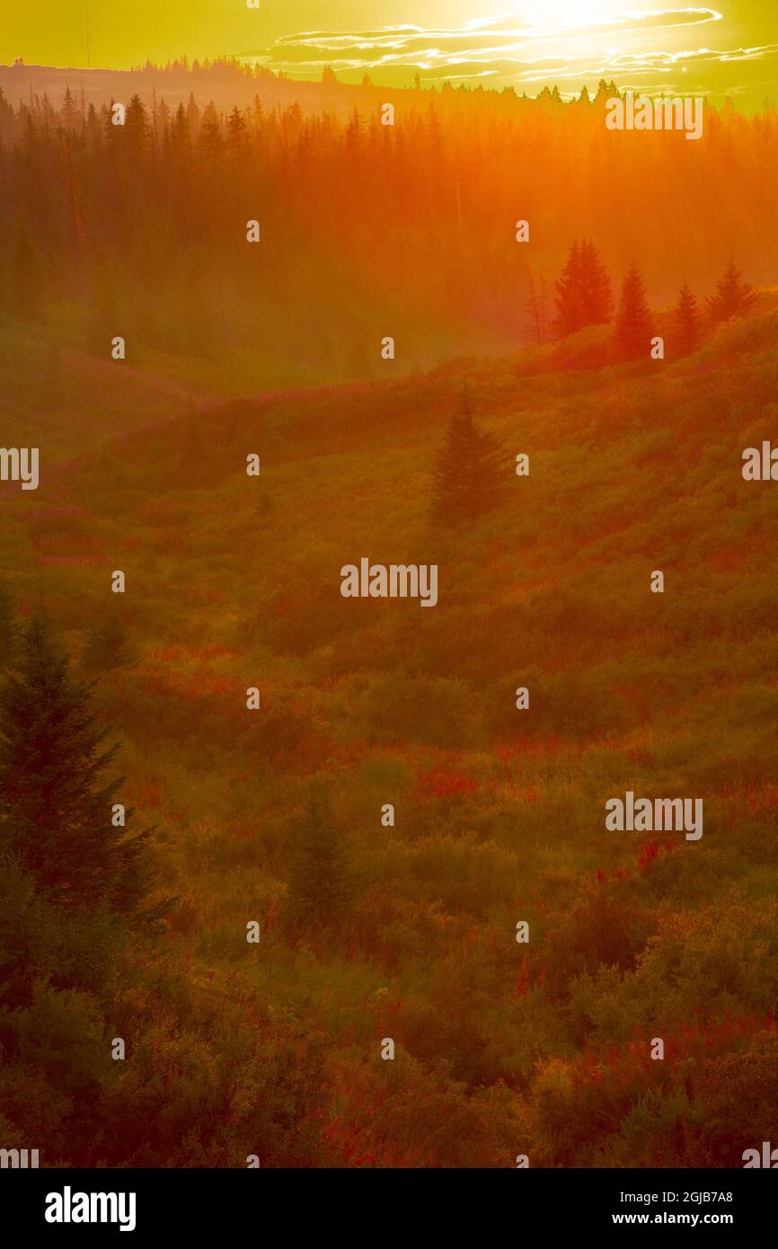 Homer, Alaska, scenic, sunset, golden, permafrost Stock Photo - Alamy