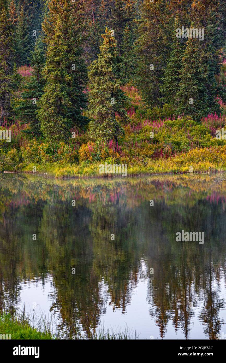 Water with red fireweed hi-res stock photography and images - Alamy
