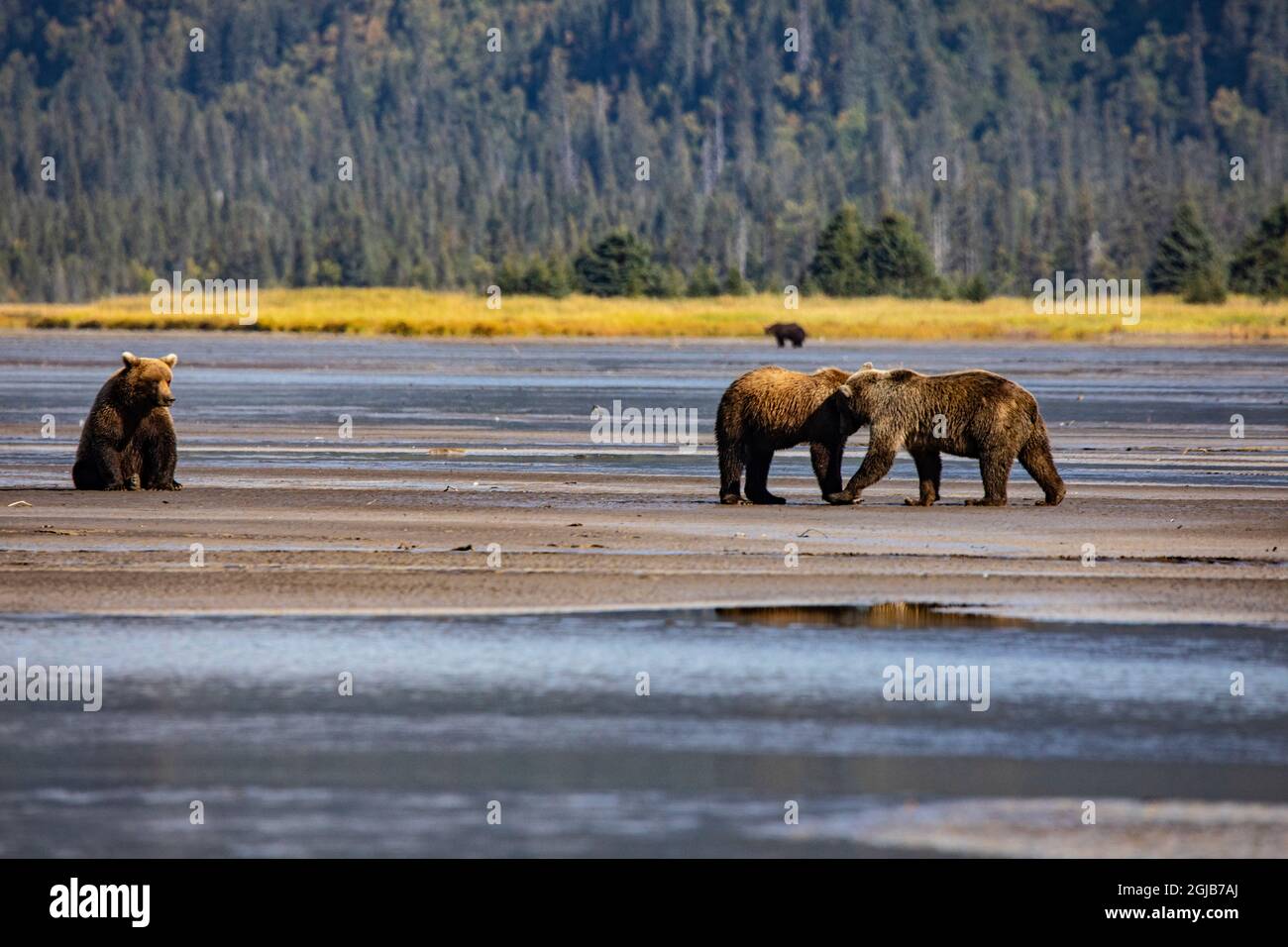 Lake Clark National Park and Preserve, Cook Inlet, Kenai Peninsula ...