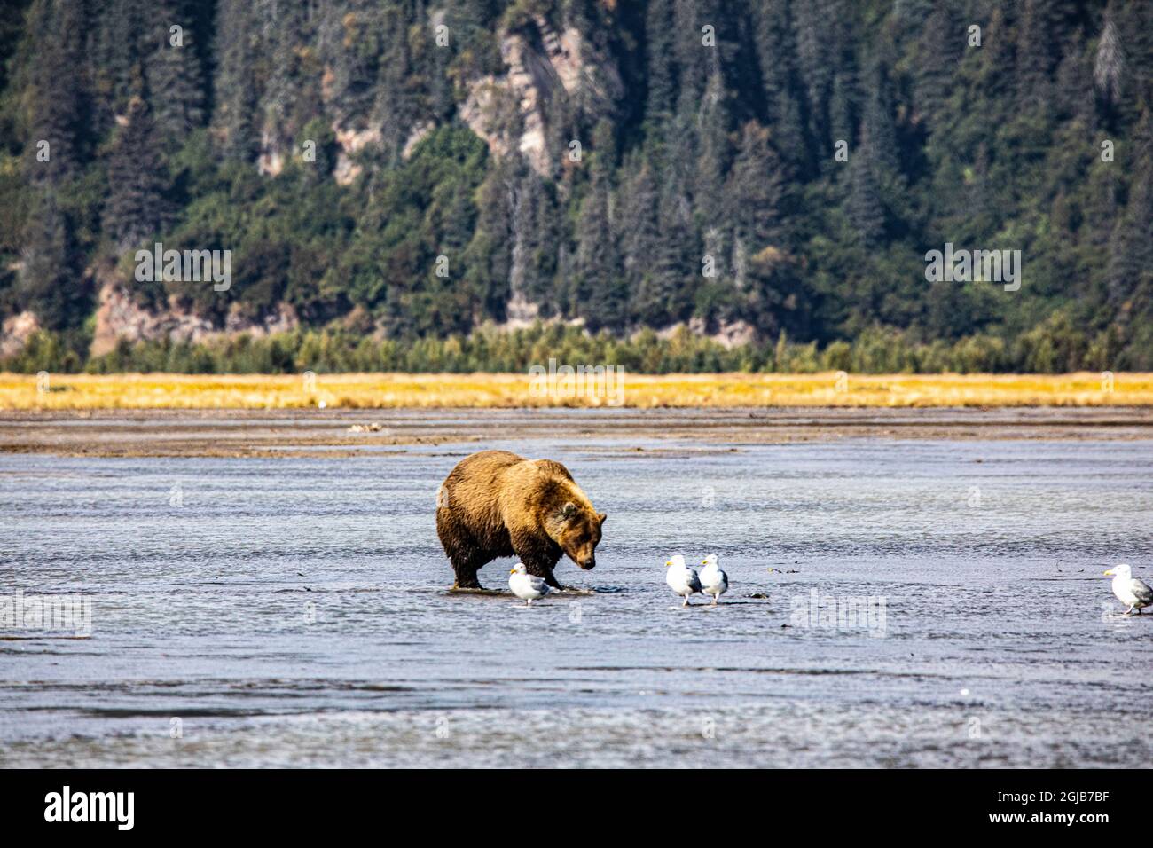Lake Clark National Park and Preserve, Cook Inlet, Kenai Peninsula ...