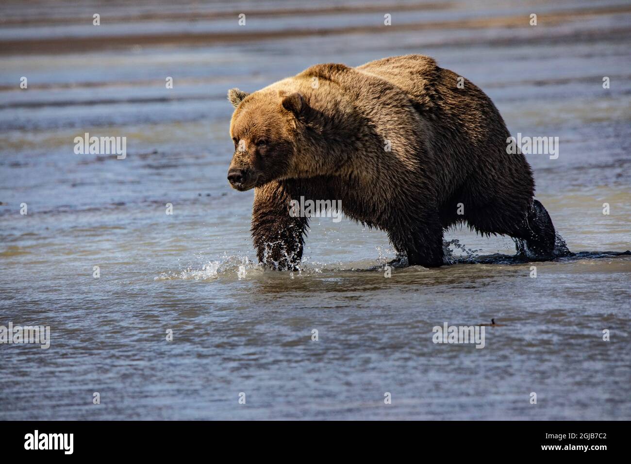 Lake Clark National Park and Preserve, Cook Inlet, Kenai Peninsula ...