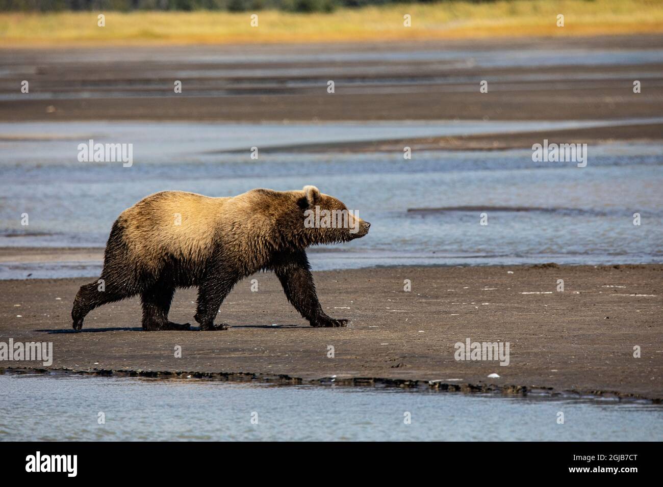 Lake Clark National Park and Preserve, Cook Inlet, Kenai Peninsula ...