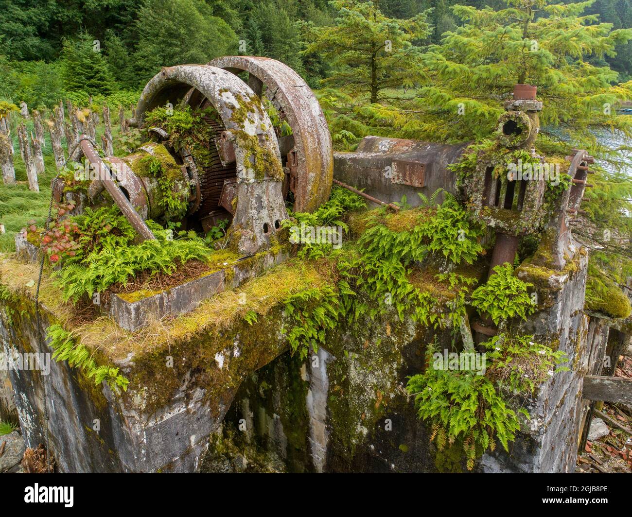 USA, Alaska, Juneau, Taku Harbor State Marine Park, Aerial view of ...