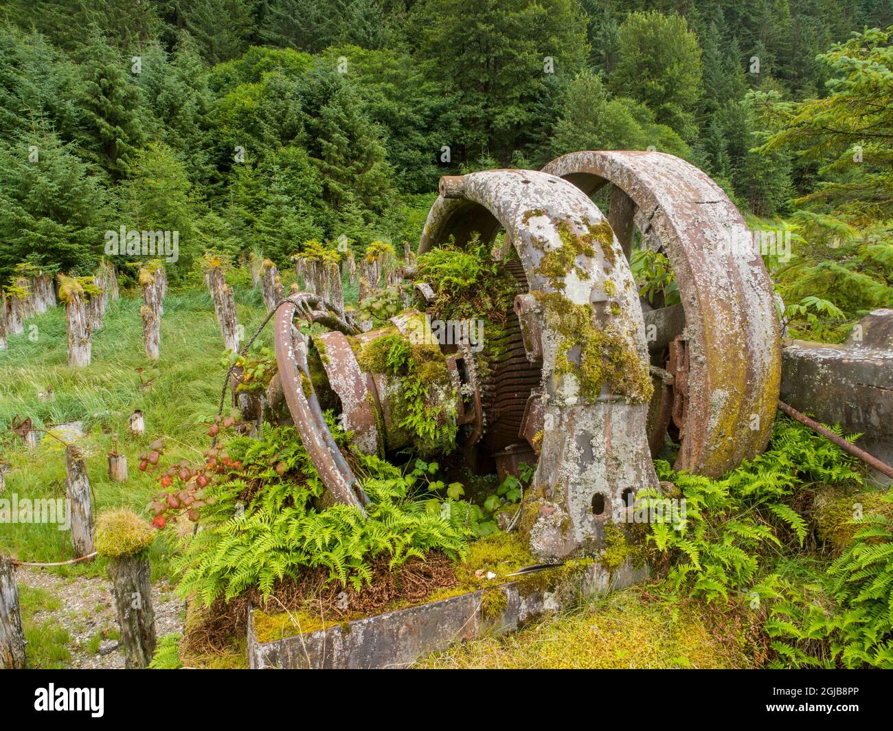 USA, Alaska, Juneau, Taku Harbor State Marine Park, Aerial view of ...