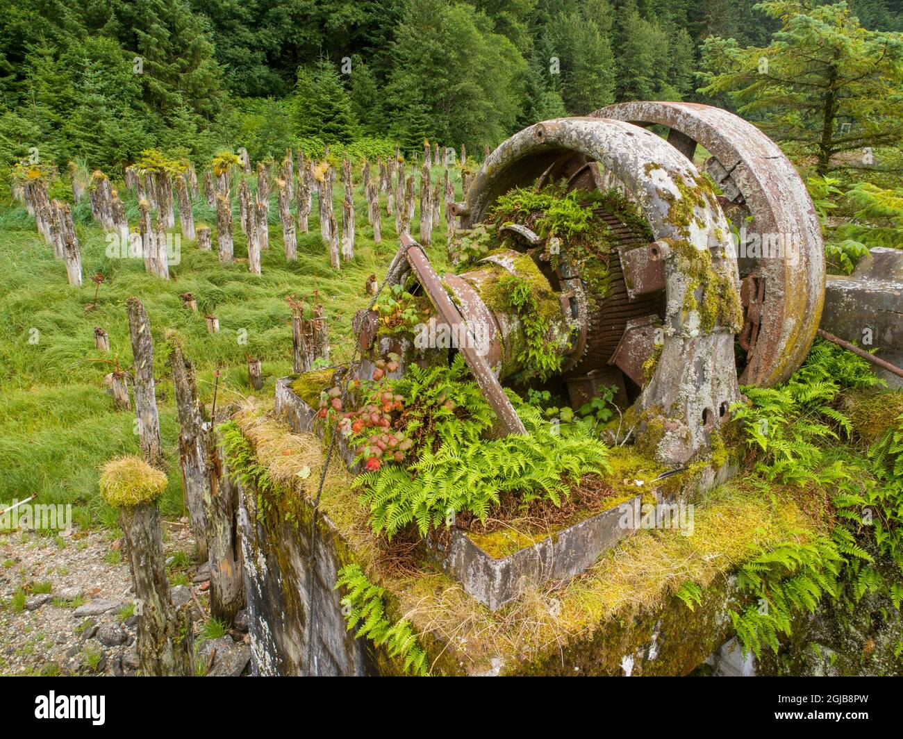 USA, Alaska, Juneau, Taku Harbor State Marine Park, Aerial view of ...