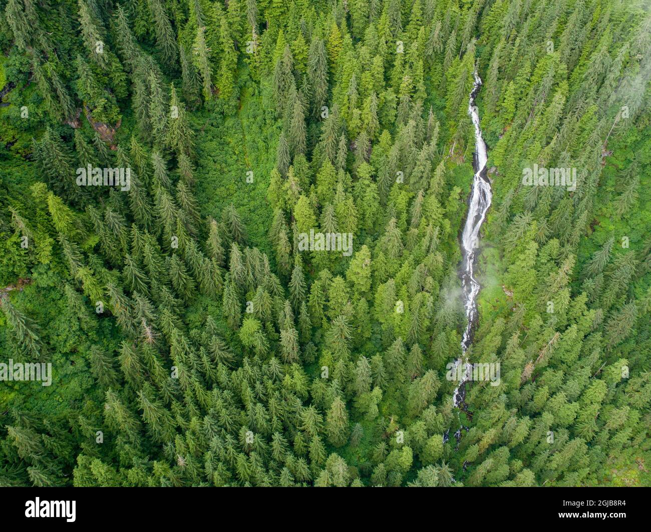 USA, Alaska, Juneau, Taku Harbor State Marine Park, Aerial view of ...