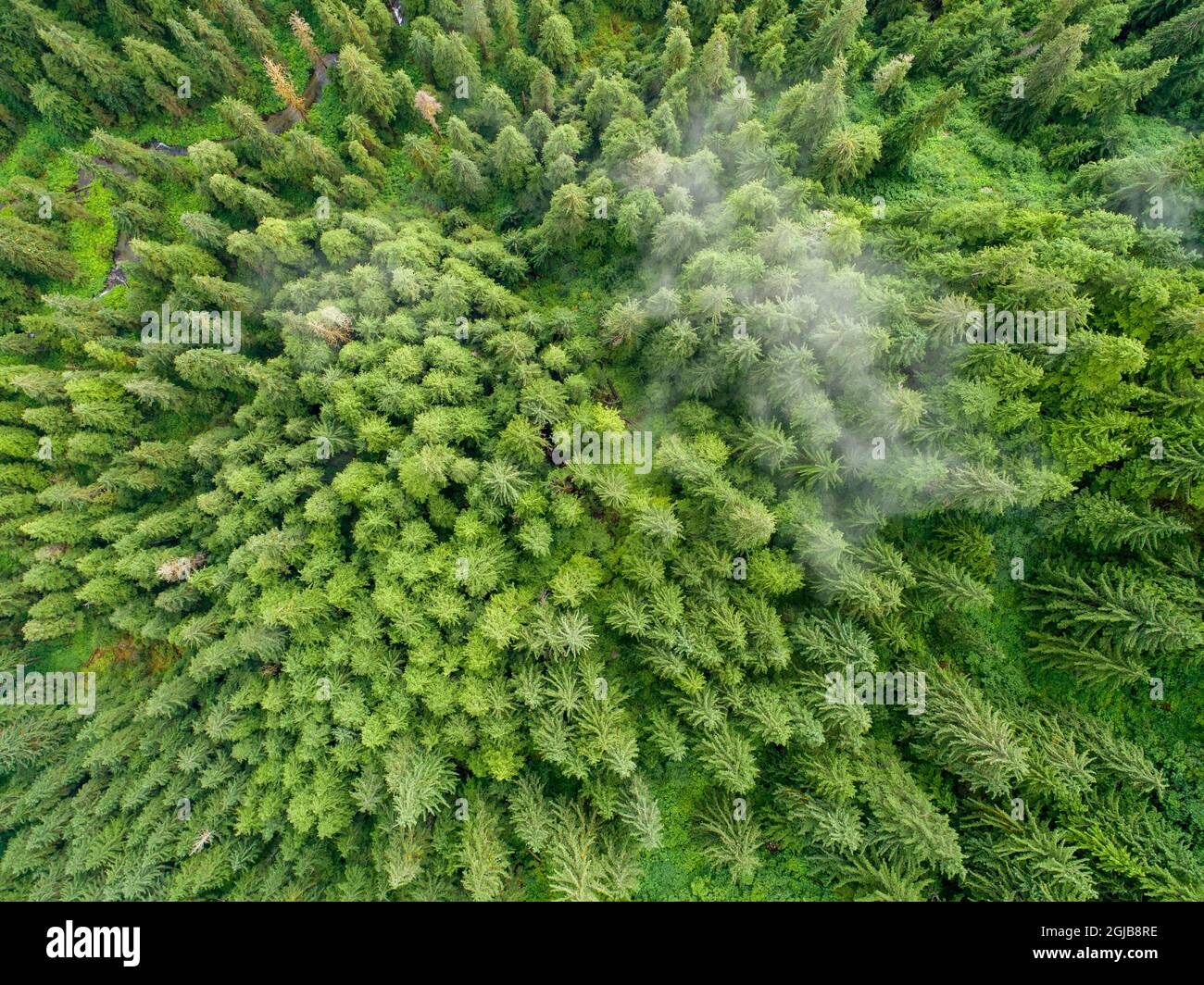USA, Alaska, Juneau, Taku Harbor State Marine Park, Aerial view of ...