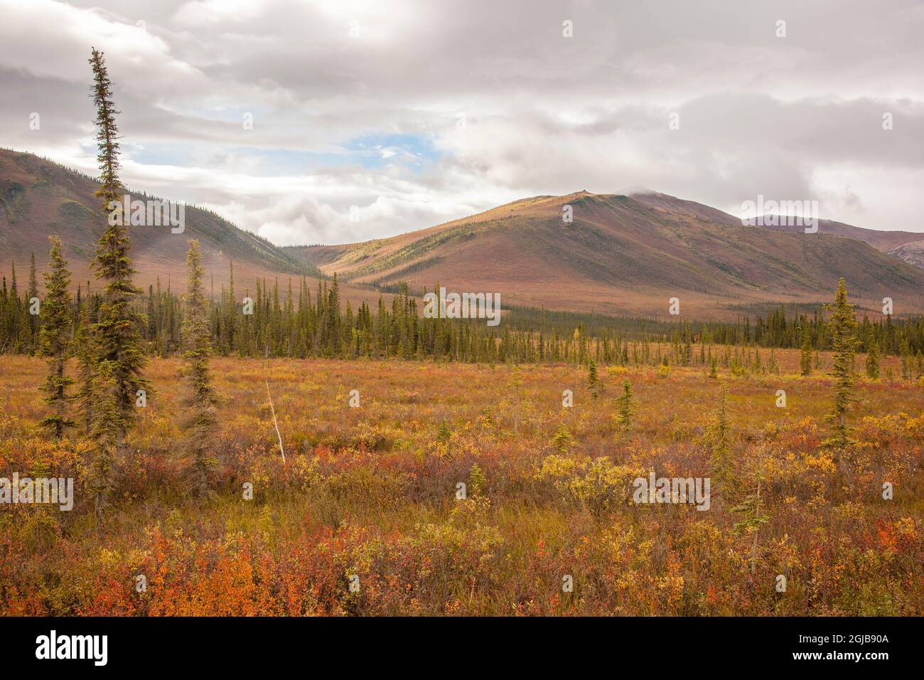 USA, Alaska. Fall colors in the tundra on the Dalton Highway to Prudhoe ...