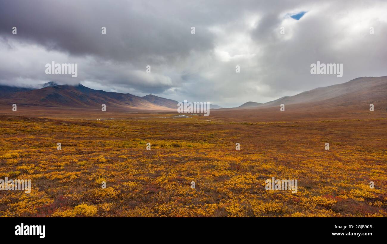 USA, Alaska. Fall colors in the tundra on the Dalton Highway to Prudhoe ...