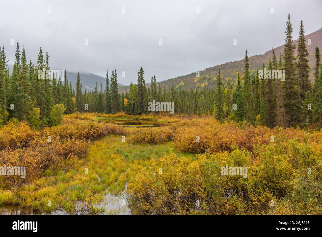 USA, Alaska. Fall colors in the tundra on the Dalton Highway to Prudhoe ...