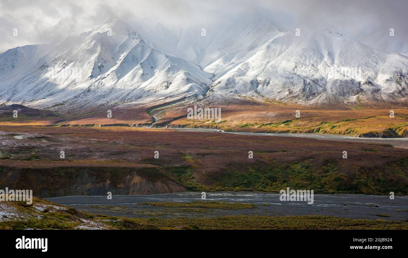 USA, Alaska. Fall colors in Denali National Park with clouds shrouding ...