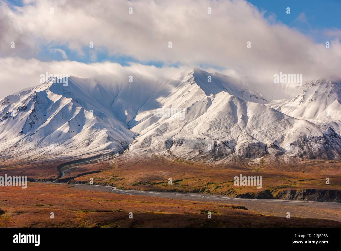 USA, Alaska. Fall colors in Denali National Park with clouds shrouding ...