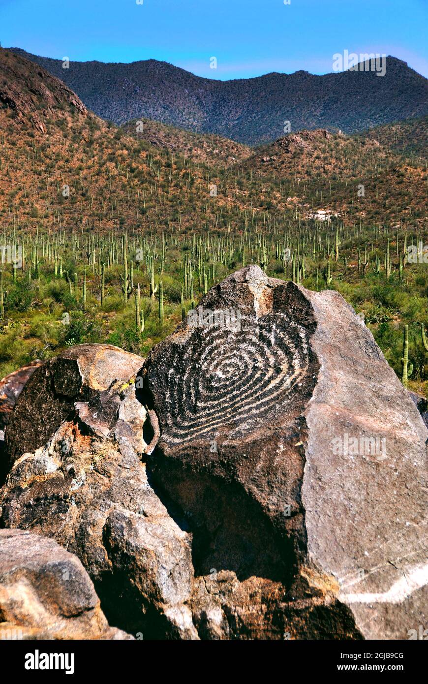 Signal Hill Petroglyphs, Arizona, USA Stock Photo - Alamy