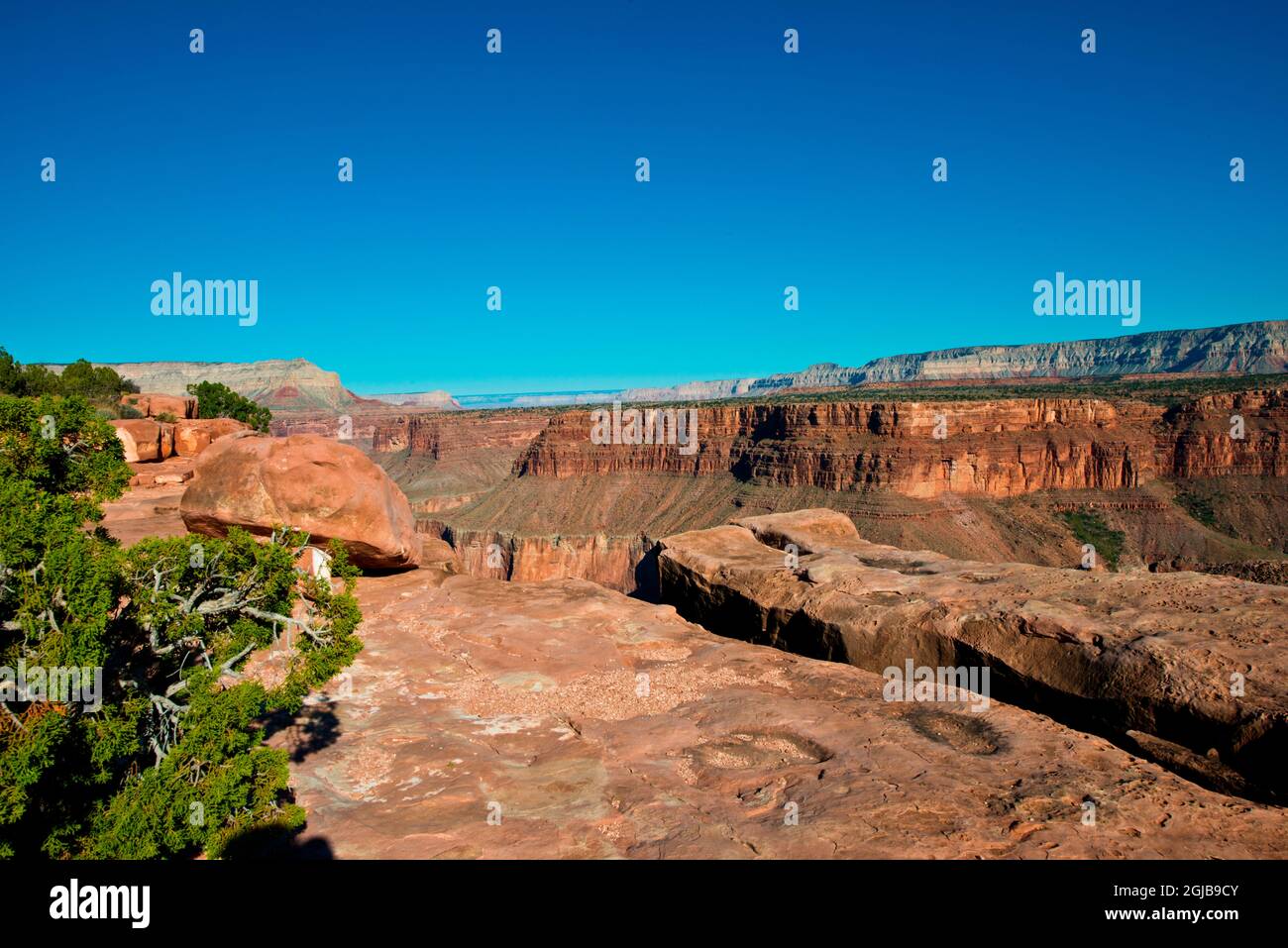 USA, Arizona. Grand Canyon National Park Tuweep Area, Toroweap Overlook ...