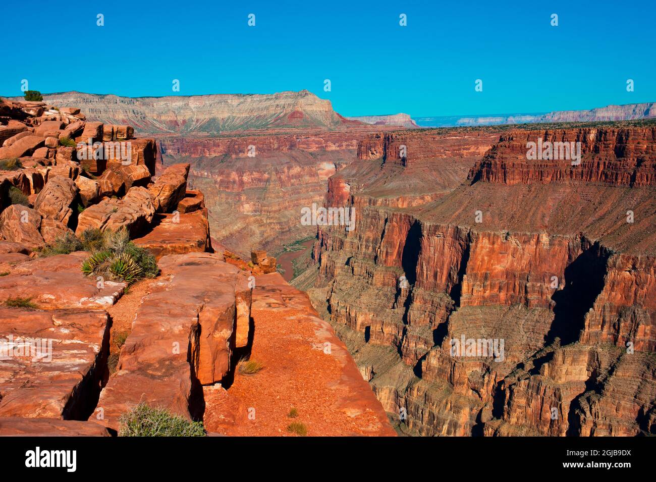 USA, Arizona. Grand Canyon National Park, Tuweep Area, Toroweap ...