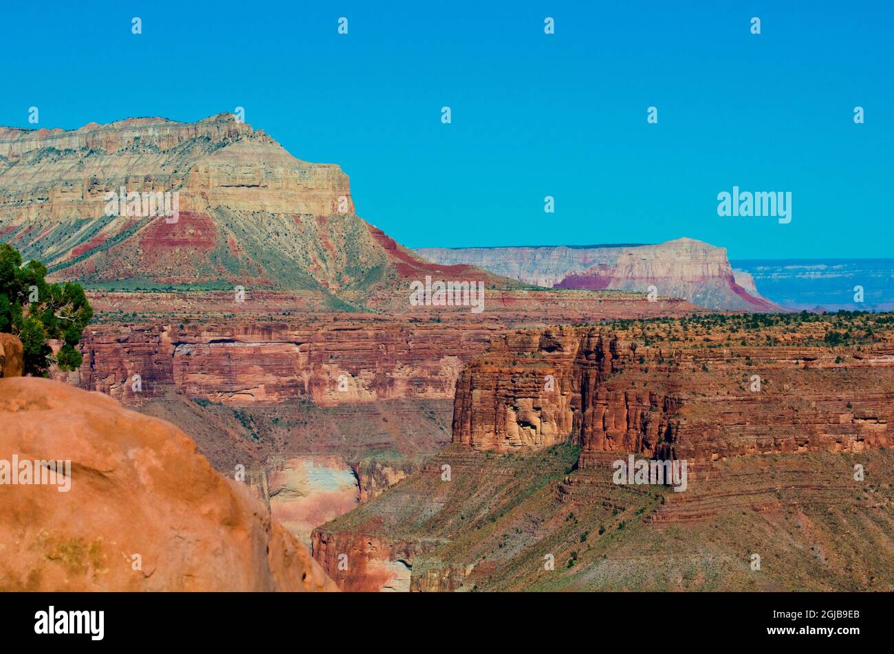 USA, Arizona. Grand Canyon National Park Tuweep Area, Toroweap Overlook ...