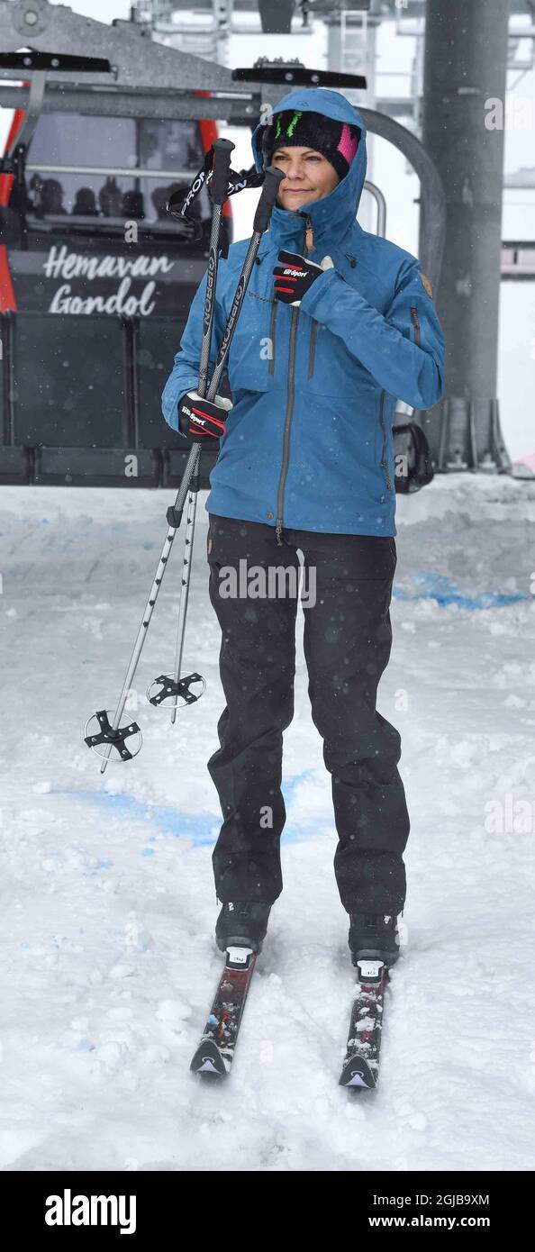 Crown lift hi-res stock photography and images - Alamy