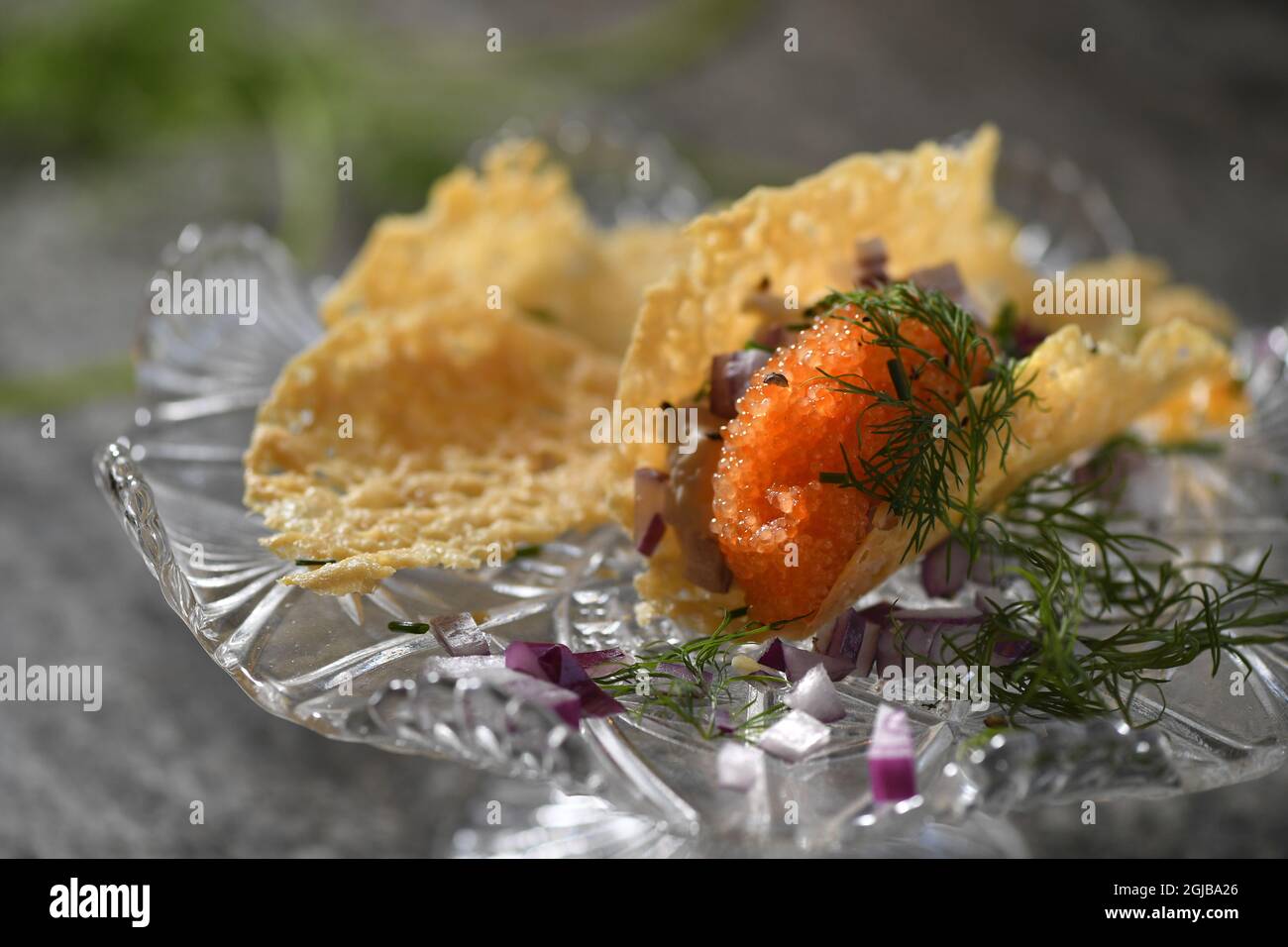 Tacos of cheese served with lettuce, smetana and red onions Foto ...