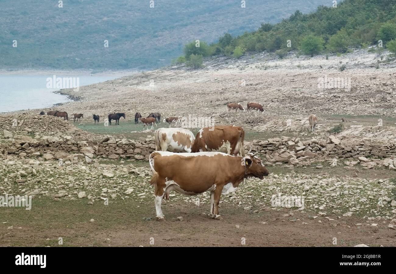 Bileca lake hi-res stock photography and images - Alamy