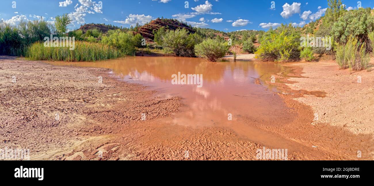 A toxic pond that formed from rain running off of mine tailings at an ...