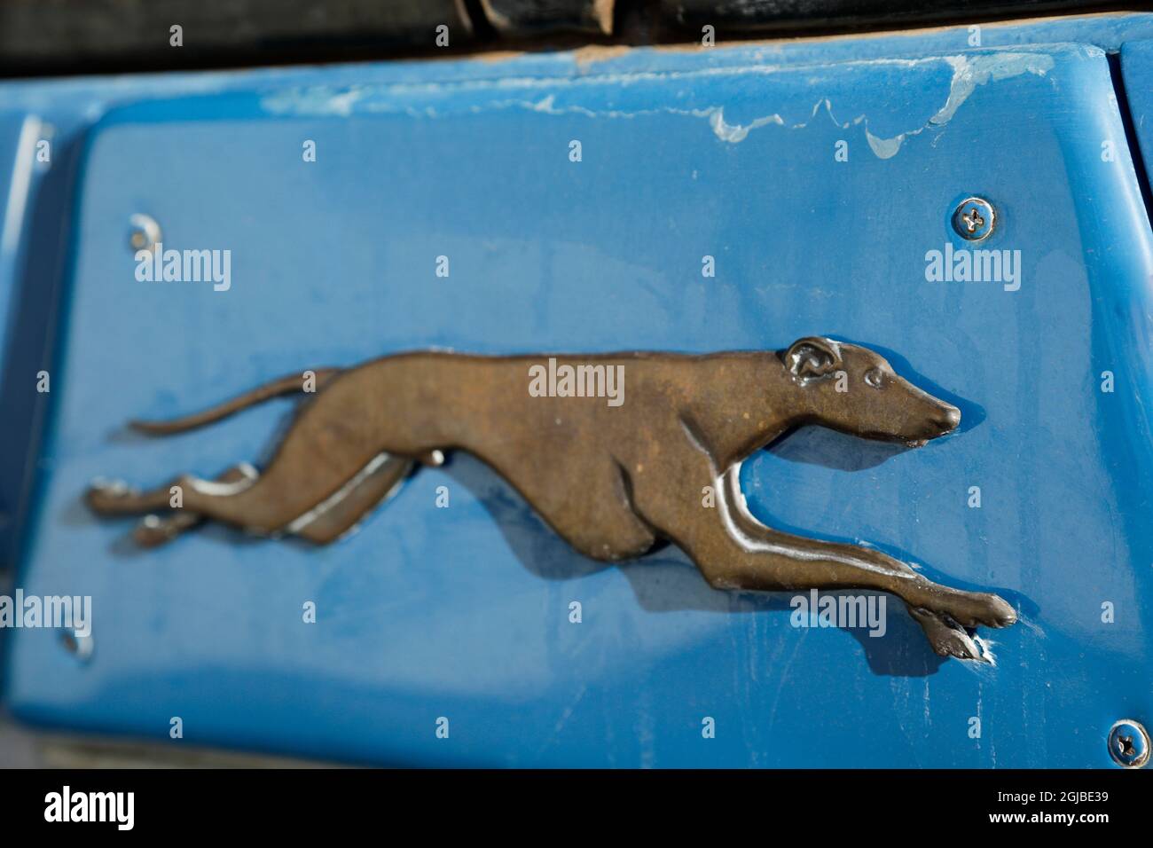 Vintage Greyhound Bus Logo