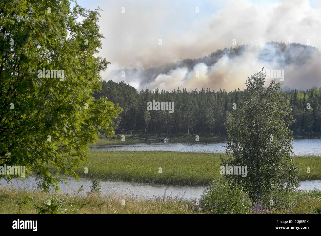 Wildfire in Enskogen outside Ljusdal, Sweden on tuesday 17 july 2018 ...