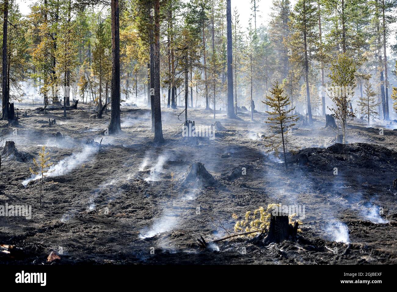 Sweden forest fire 2018 hi-res stock photography and images - Alamy