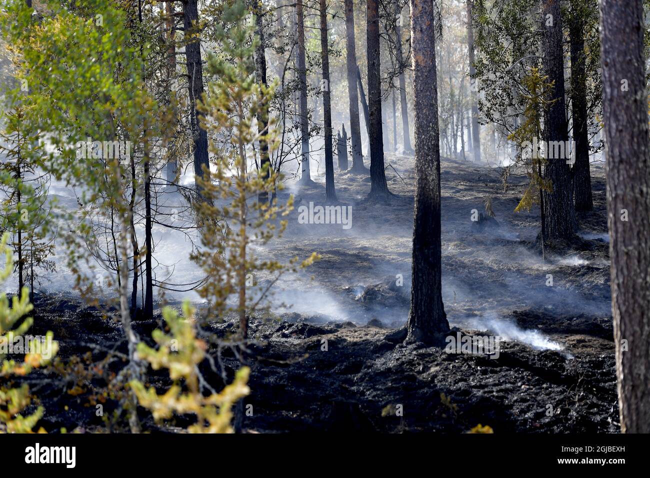Sweden forest fire 2018 hi-res stock photography and images - Alamy