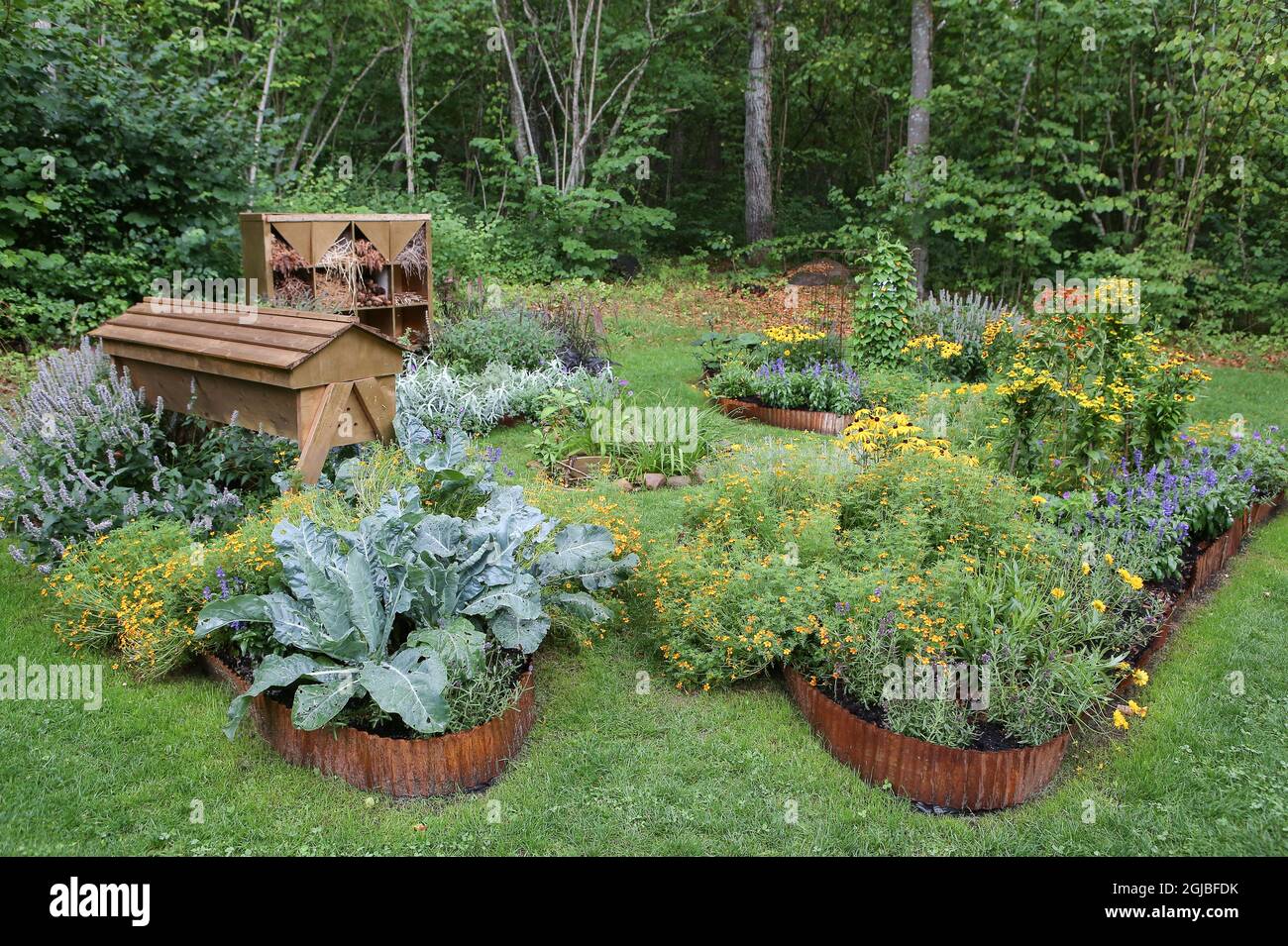 BORGHOLM 20180811 The "Alla kan odla” (Everyone can cultivate) garden ...