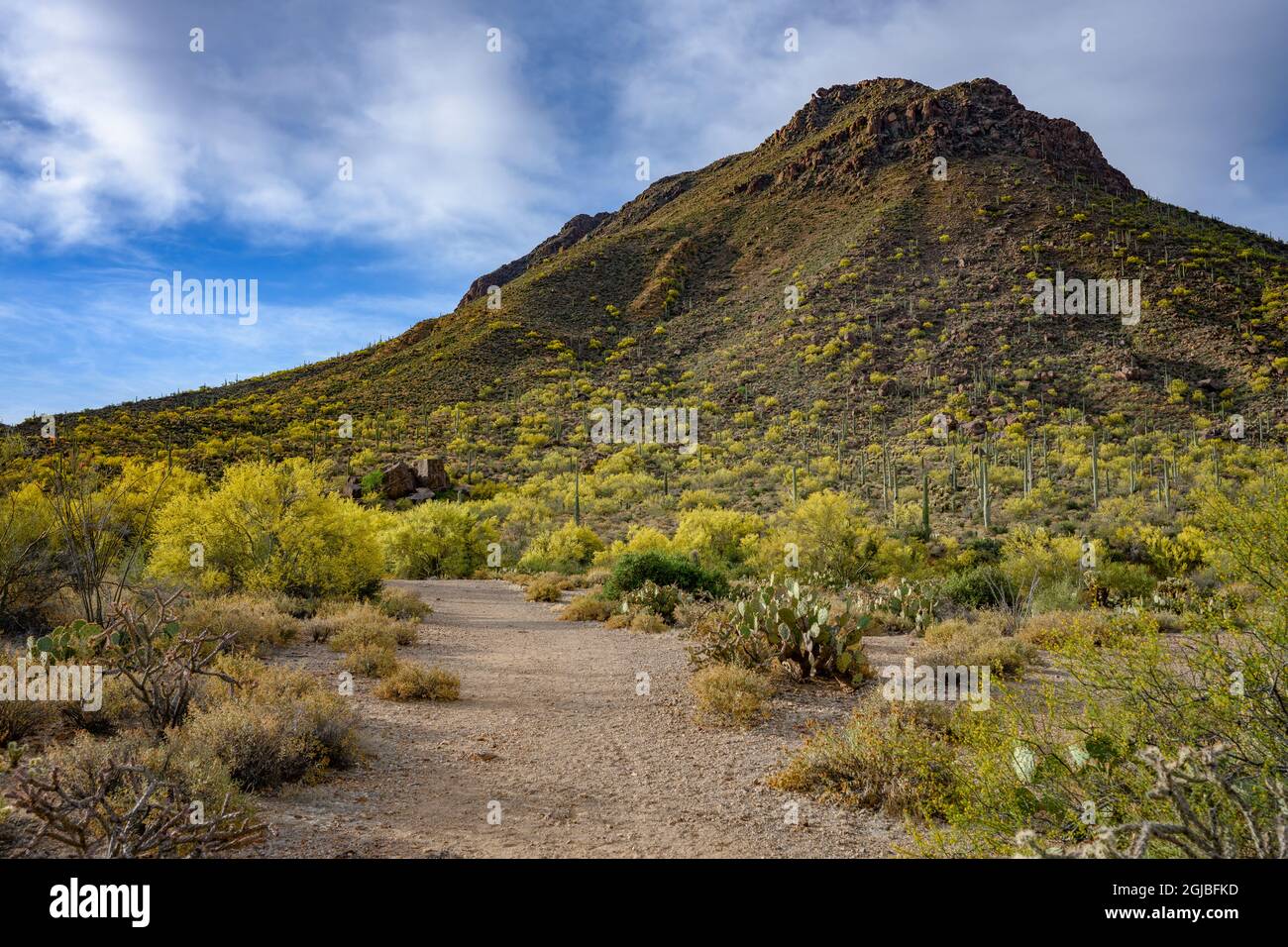 Tucson mountain park hi-res stock photography and images - Alamy