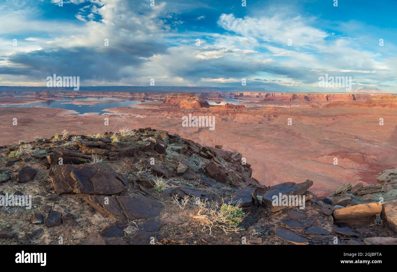 USA, Arizona. View of Lake Powell from Tower Butte Stock Photo - Alamy
