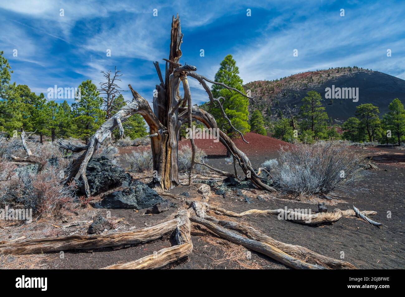 USA, Arizona. View of Sunset Crater Volcano National Monument Stock ...