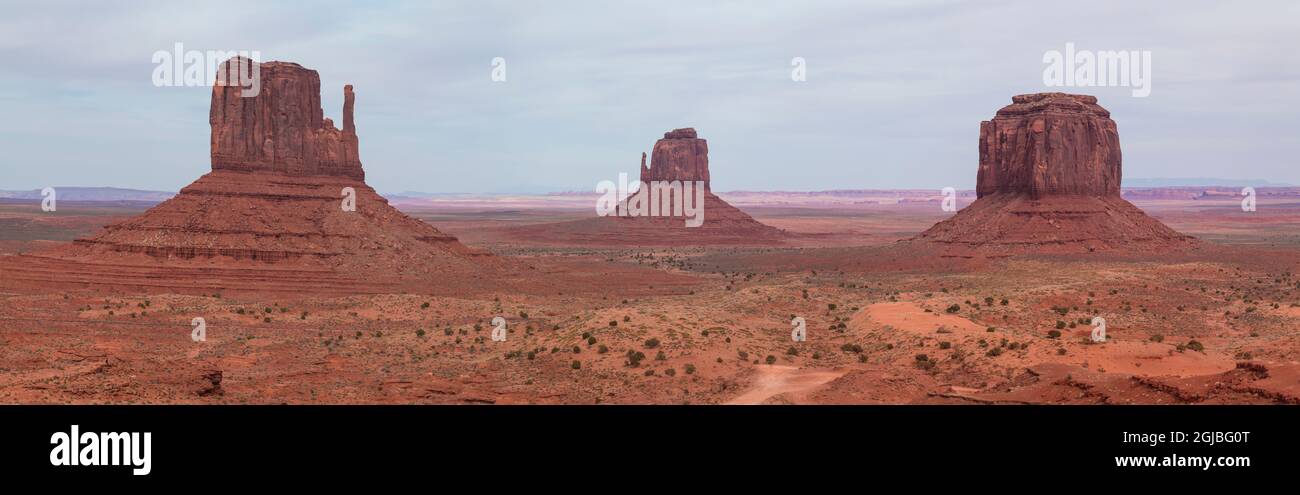 USA, Arizona. Panoramic view of the Mittens and Merrick Buttes in ...