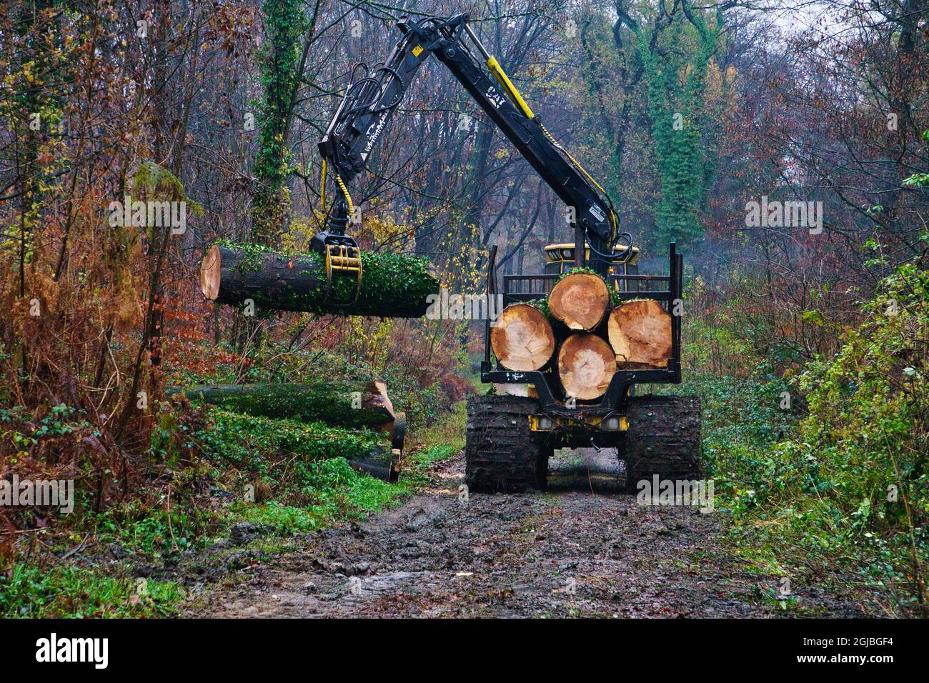 Wood truck loading hi-res stock photography and images - Alamy