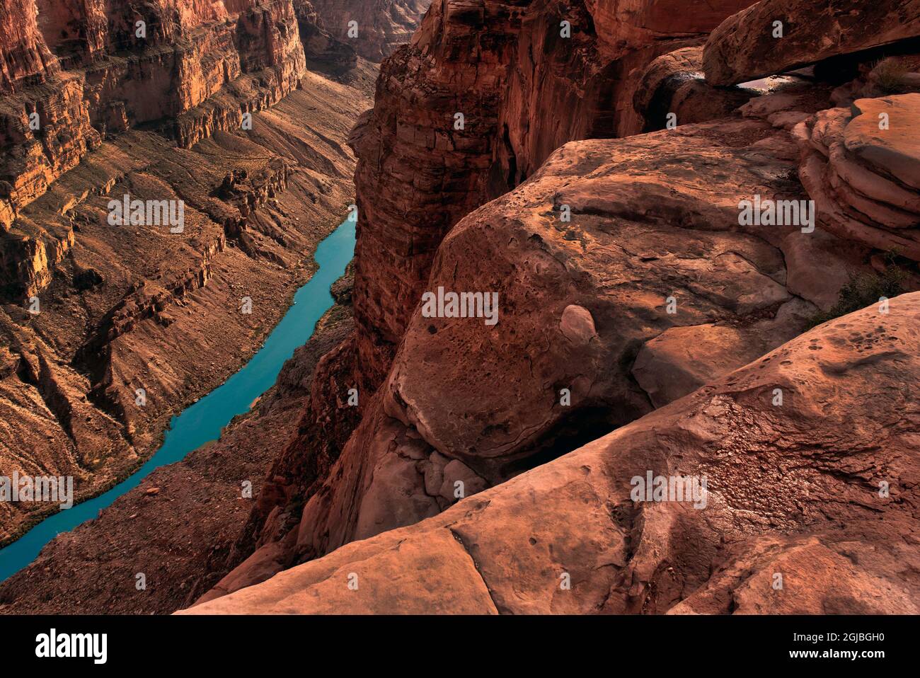 Colorado River meanders through the Grand Canyon below Toroweap ...