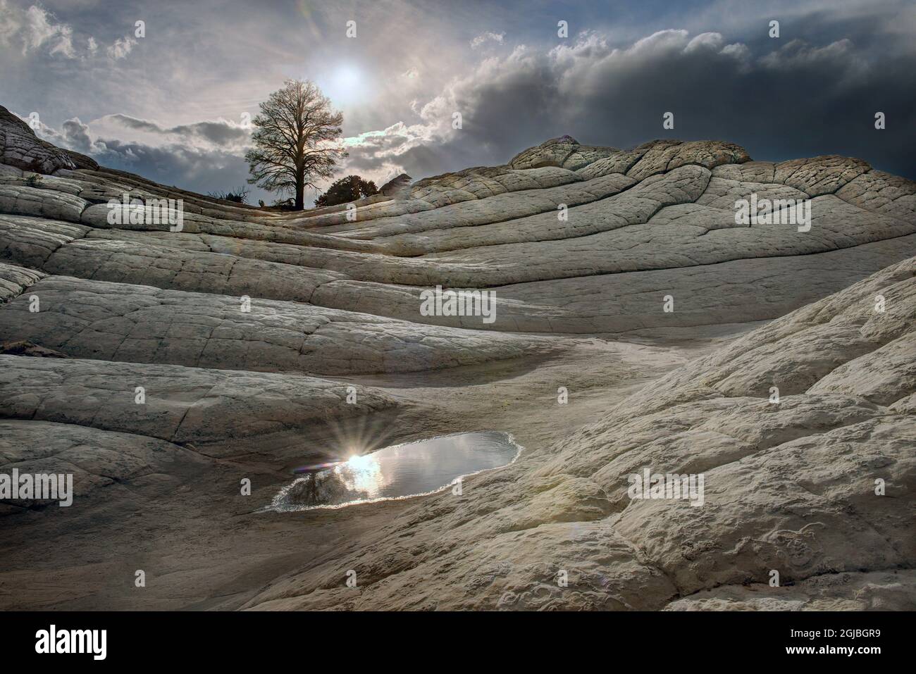 Brain rock hi-res stock photography and images - Alamy