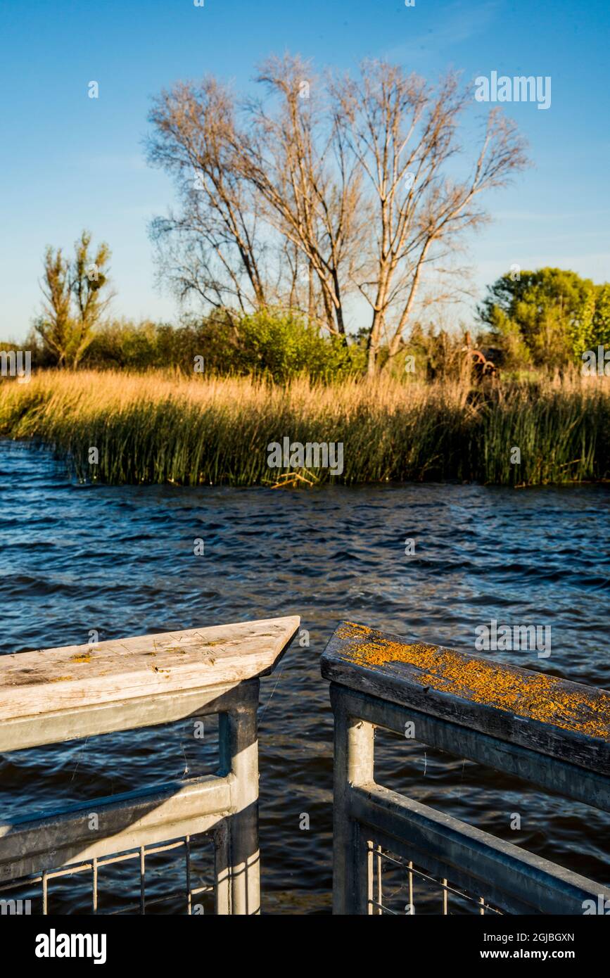 USA, California, Sacramento-San Joaquin Delta (south shore). Big Break ...