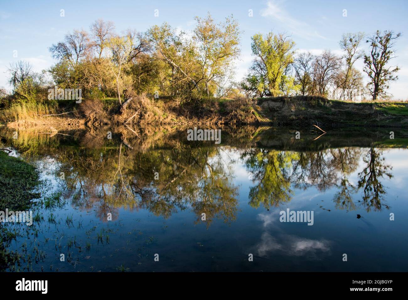 USA, California. Fremont Weir Wildlife Area on the Sacramento River ...