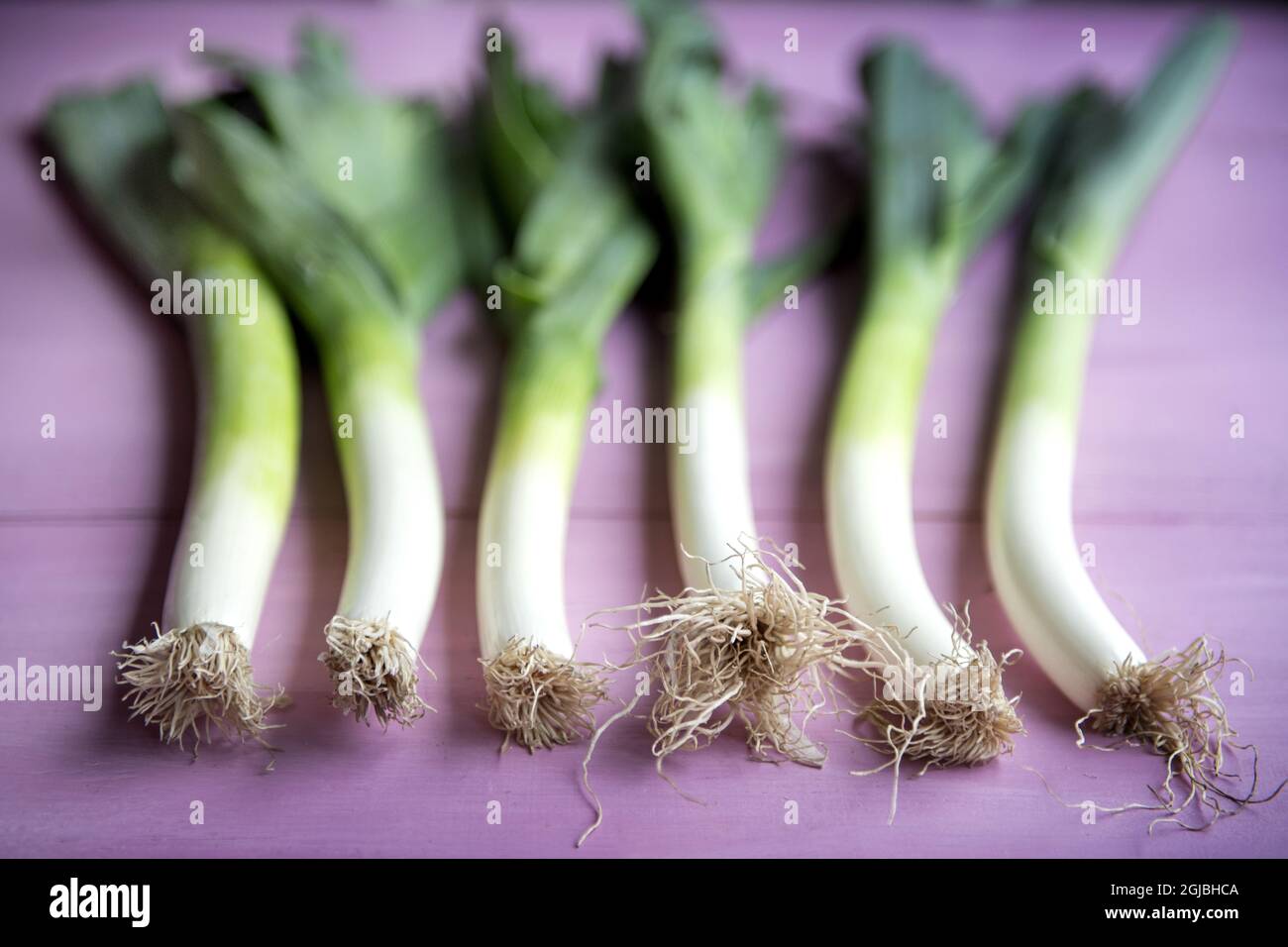 Leek Foto: Jessica Gow / TT / Kod 10070 Stock Photo - Alamy