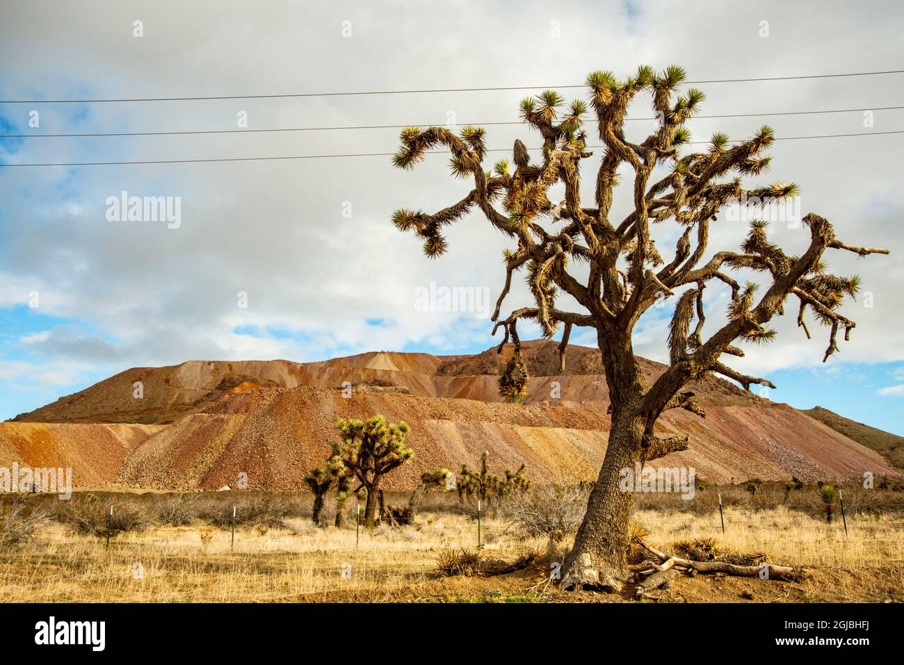 USA, California. 2019 California Drought Expedition #8. Mojave Desert ...
