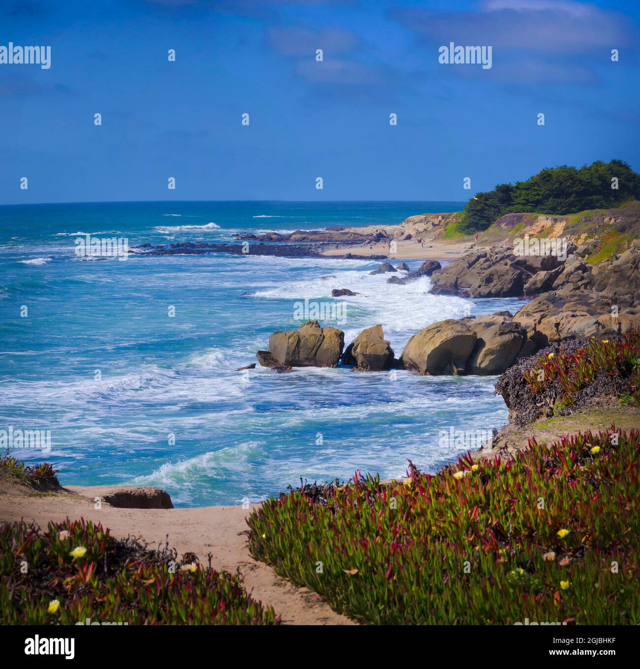 Bean hollow beach hi-res stock photography and images - Alamy