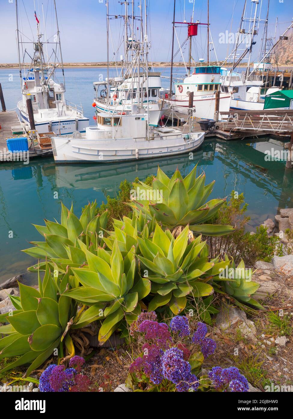 Boat Docks on Morro Bay, California, USA Stock Photo - Alamy