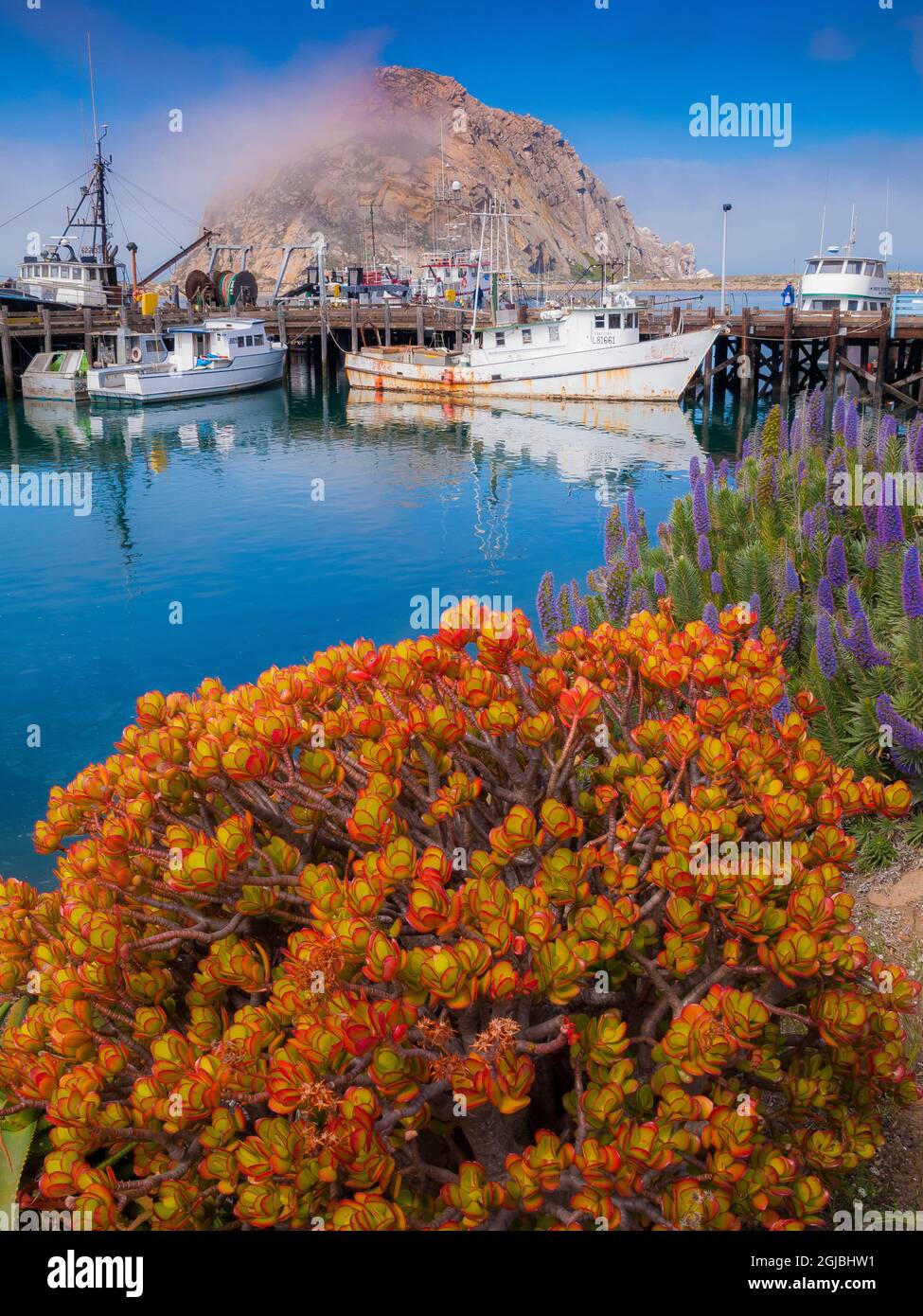 Boat Docks on Morro Bay, California, USA Stock Photo - Alamy