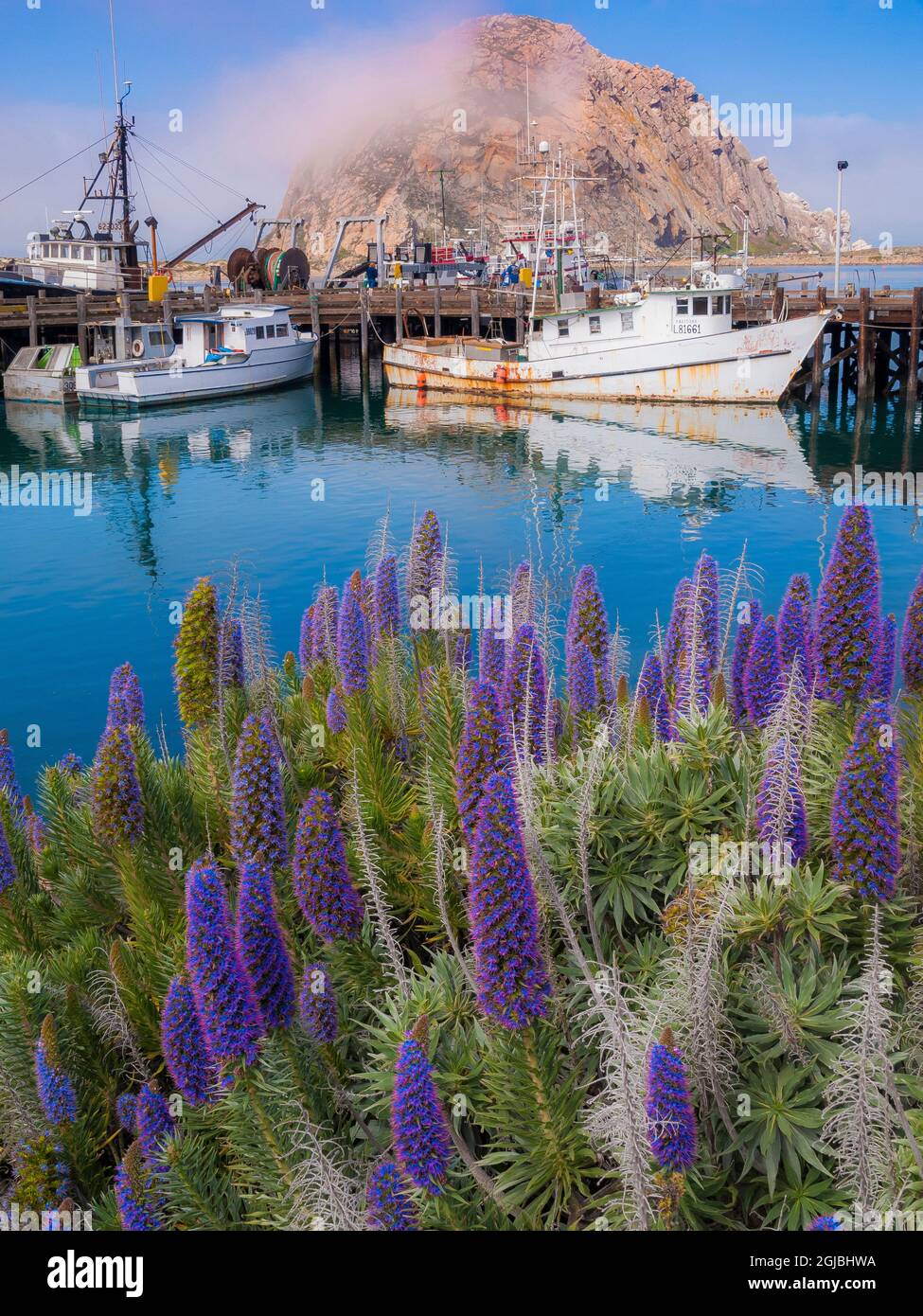 Boat Docks on Morro Bay, California, USA Stock Photo - Alamy