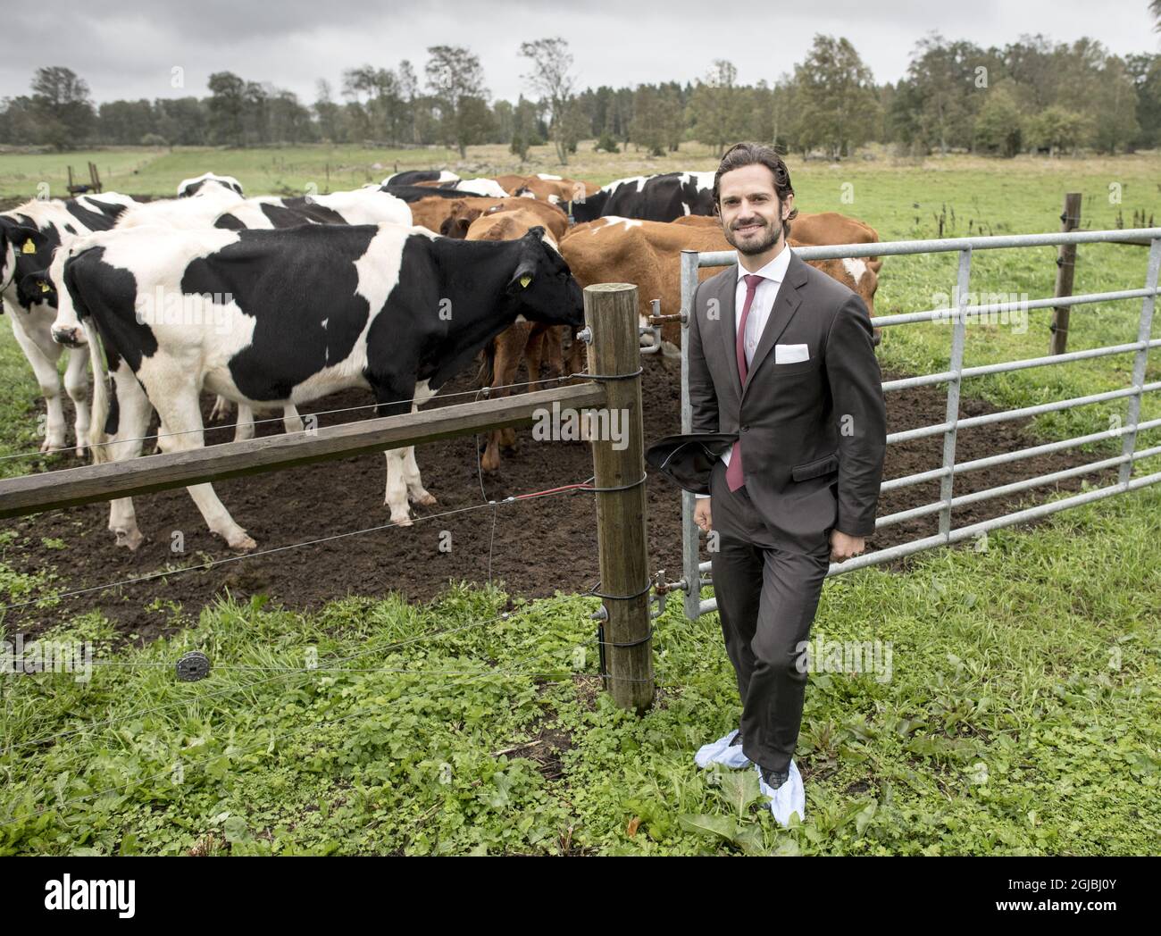 New stables hi-res stock photography and images - Alamy
