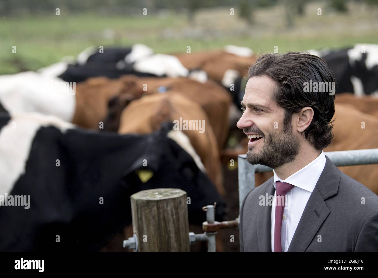 SKARA 20089026 Prince Carl Philip at the opening of Gotala Beef and ...
