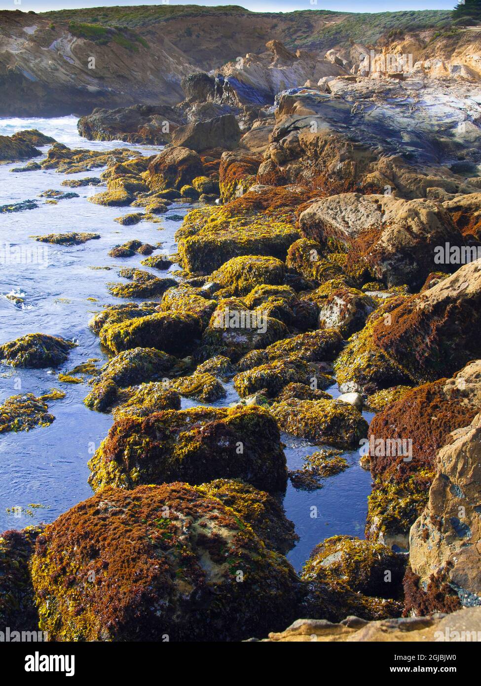 Big Sur Area, California, USA Stock Photo - Alamy