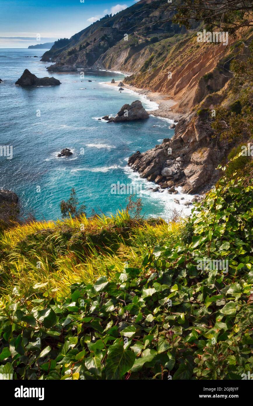 Big Sur Area, California, USA Stock Photo - Alamy