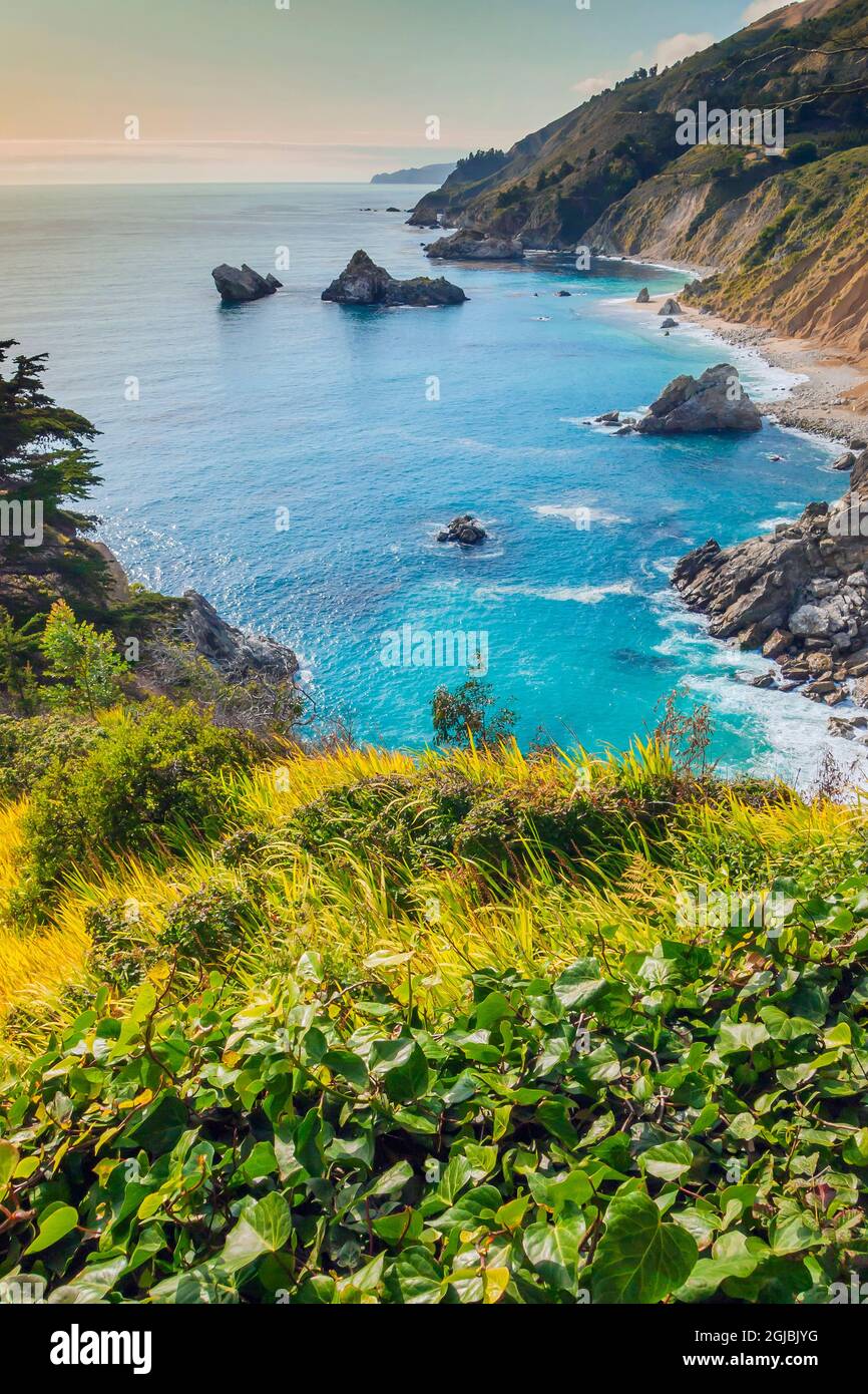Big Sur Area, California, USA Stock Photo - Alamy